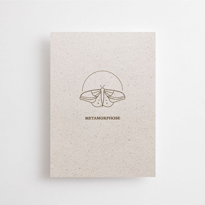 Metamorphosis Card – the stories